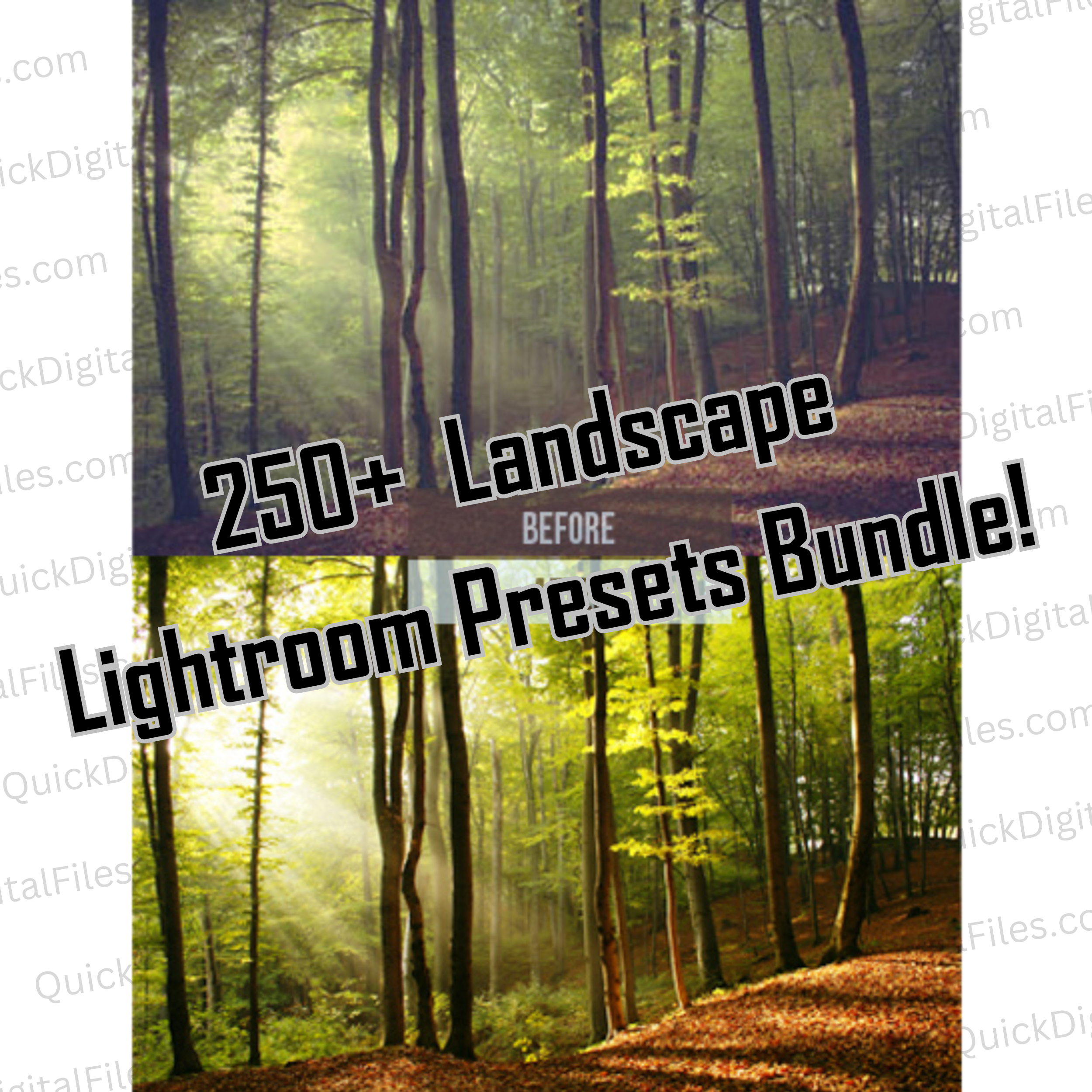 Ultimate 250+ Bundle - Landscape Presets Pack for Adobe Lightroom ...